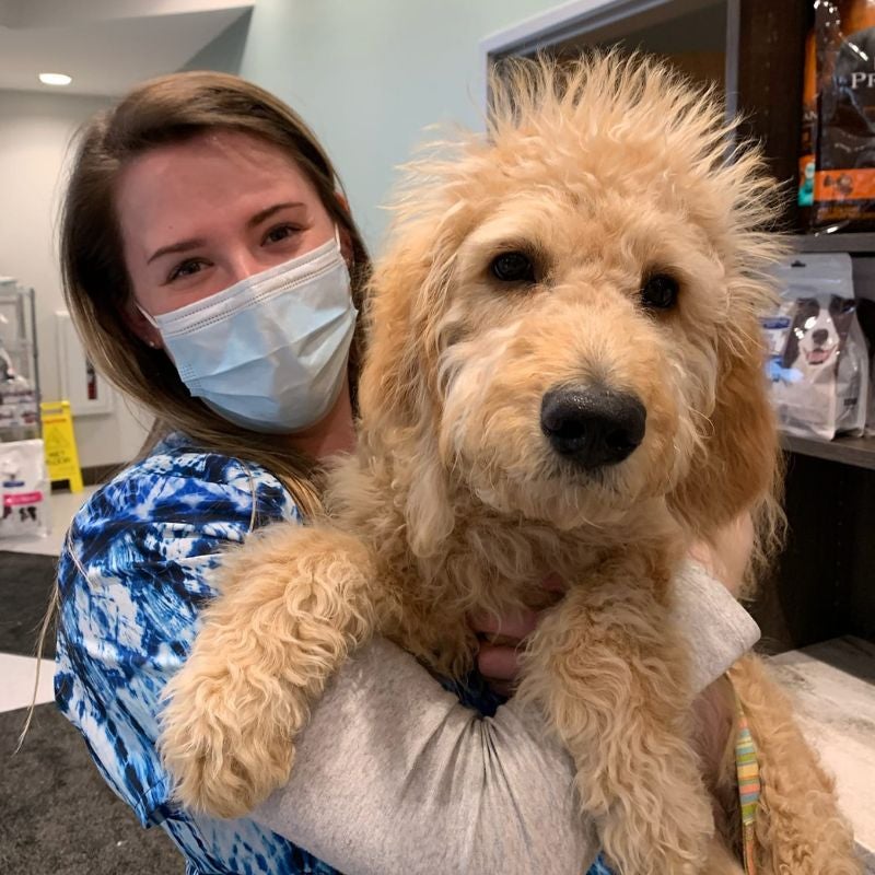 Aurora Veterinary Clinic: Top Rated Aurora Veterinarians