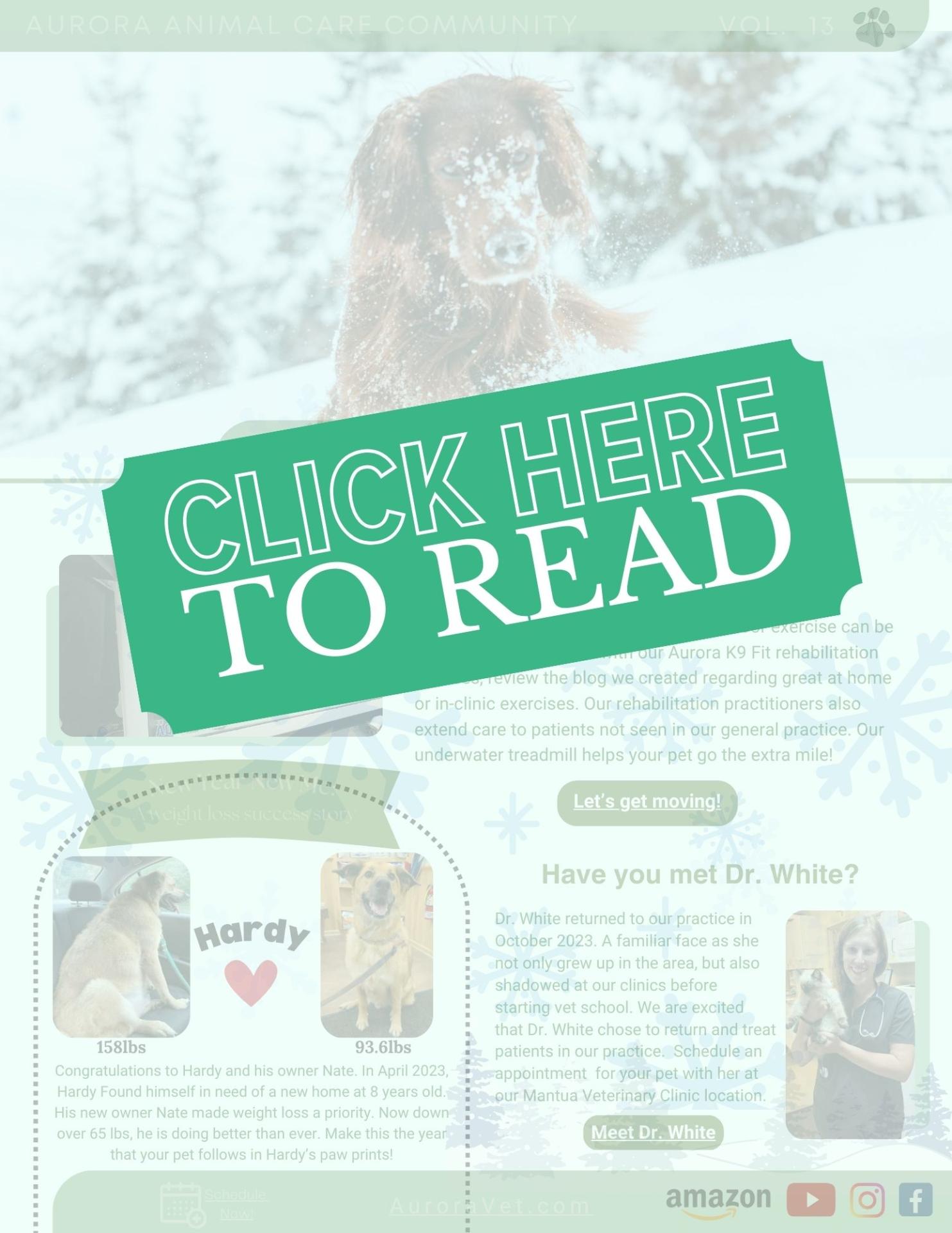 Newsletters | Aurora Veterinary Clinic