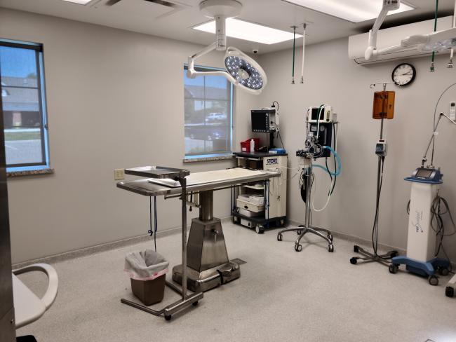 Surgery Gallery | Aurora Veterinary Clinic
